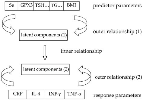 The Arrow Scheme For Pls Algorithm Tsh Thyroid Parameters