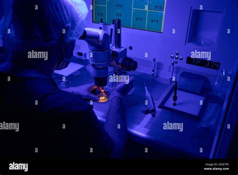 Reproduction Laboratory Worker Doing Preimplantation Genetic Diagnosis Stock Photo Alamy
