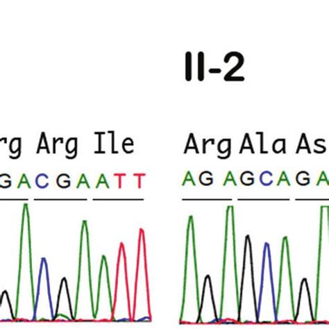 Lrp6 Low Density Lipoprotein Receptor Related Protein 6 Gene Mutation