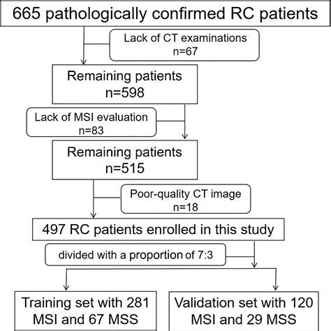 Figure 1 From A Tumoral And Peritumoral Ct Based Radiomics And Machine Learning Approach To