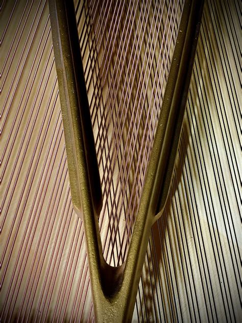 10 Questions And Answers About Piano Strings 1 Action To Avoid