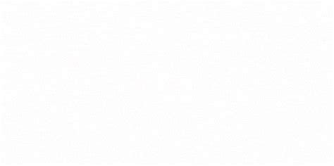 Which Is The Best Multi Camera Array For Your Event