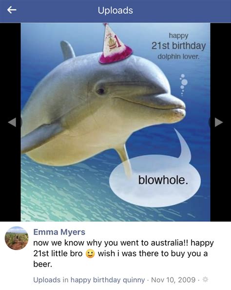 Detail Dolphin Happy Birthday Meme Koleksi Nomer 38