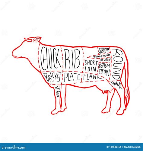 American Meat Cuts Diagram Poster Design Beef Scheme For Butcher Shop