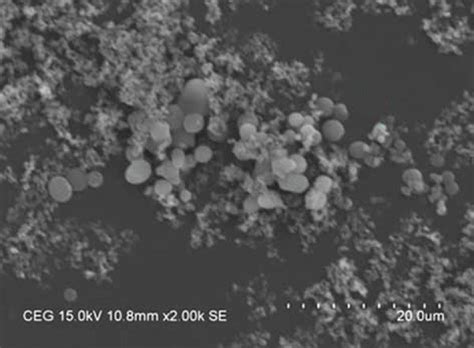 A B SEM Analysis Projecting Morphology Of CS And ACS Download Scientific Diagram