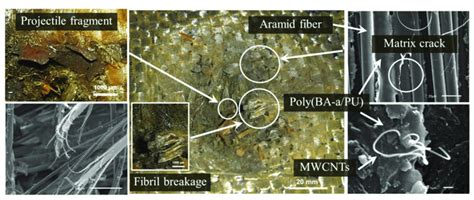 Ballistic Impact Response Of The Specimens That Consisted Of A Strike Download Scientific