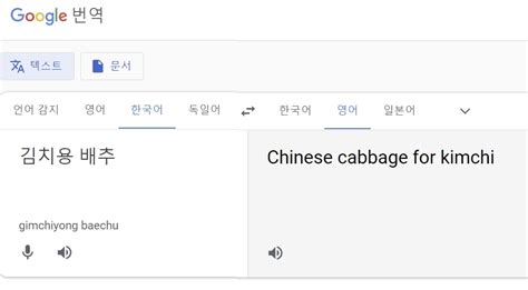 김치용 배추 구글 번역하면 Chinese cabb 서울Eye
