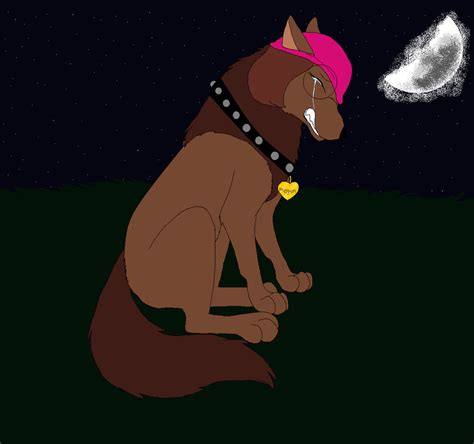 Meg Wolf By Cyngawolf On Deviantart