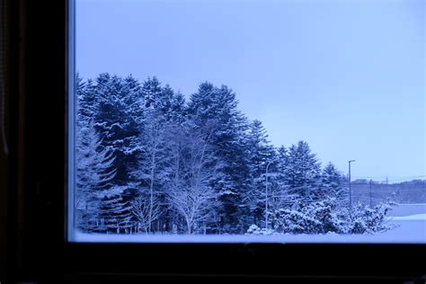 雪明けの朝 by ますちゃん ID9667830 写真共有サイト PHOTOHITO
