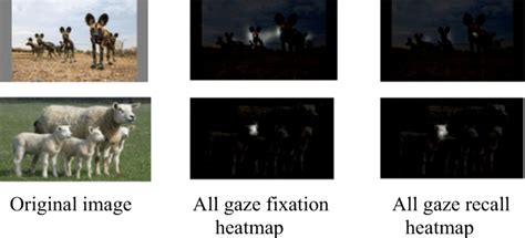 Example Of Users All Gaze Recall With Task Download Scientific Diagram