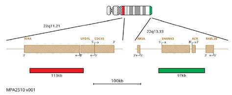 Myprobes Tuple1hirashank3 Fast Deletion Fish Probe