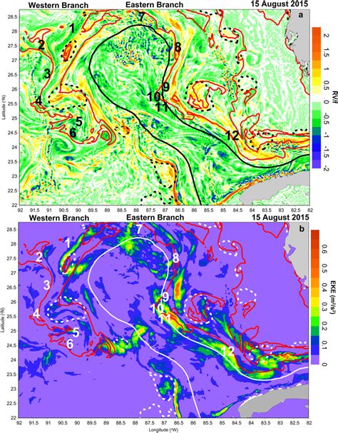 Distribution Of A Normalized Relative Vorticity With The Coriolis Download Scientific Diagram