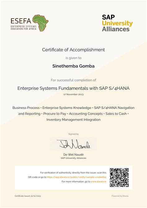 Esefa Saps4hana Enterprisesystems Professionaldevelopment Sinethemba Gomba