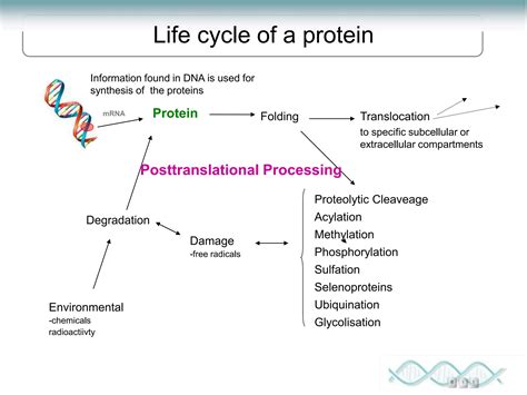 Lecture On Proteomics Introduction Ppt