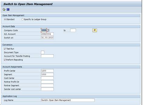 Open Item Management Activation Process Sap Community