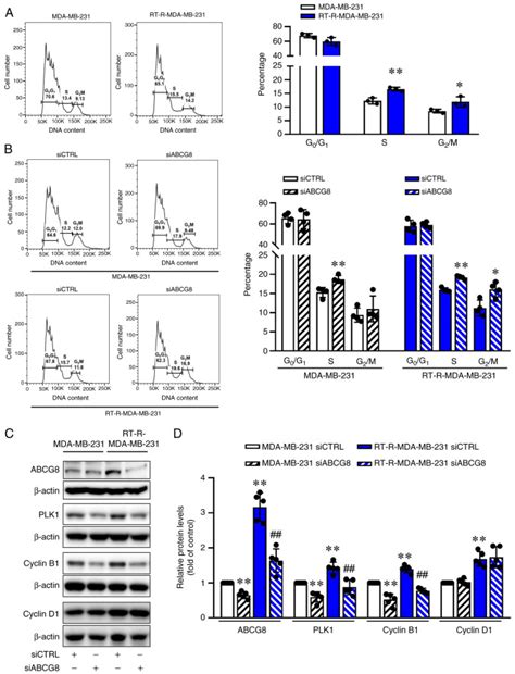 Abcg8 Mediated Sterol Efflux Increases Cancer Cell Progression Via The