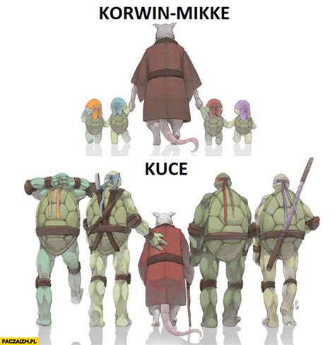 Korwin Mikke Kuce Wojownicze żółwie Ninja Turtles Paczaizm Pl