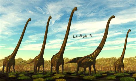 9 Dinosaurs With Long Necks A Z Animals