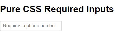 Pure CSS Inputs GeeksforGeeks