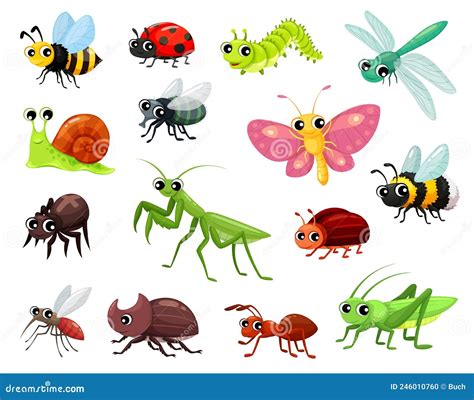 Dibujos Animados Insectos Graciosos Personajes De Niños Escarabajo De
