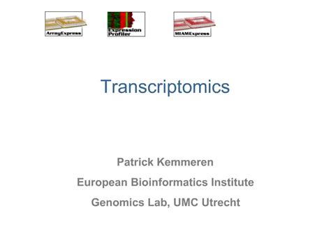 Ppt Transcriptomics Powerpoint Presentation Free Download Id766195 Ppt Transcriptomics Powerpoint Presentation Free Download Id766195