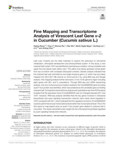 Pdf Fine Mapping And Transcriptome Analysis Of Virescent Leaf Gene V 2 In Cucumber Cucumis