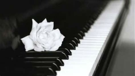 Playlist 피아노로 듣는 추억의 가요 명곡 모음감성 발라드잠잘때 듣기 좋은 음악힐링휴식공부카페음악k Pop Piano Collection Youtube