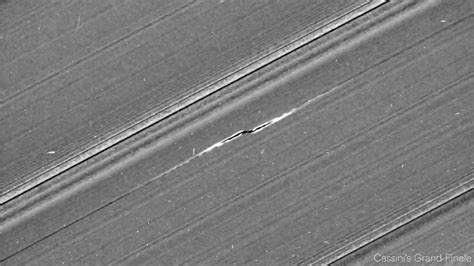 NOT PORN Chris Buck Magic Guitar