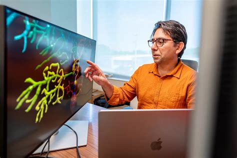 neuroimage analysis laboratory st jude research