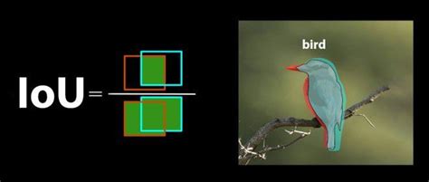 Computer Vision Basics Semantic Segmentation
