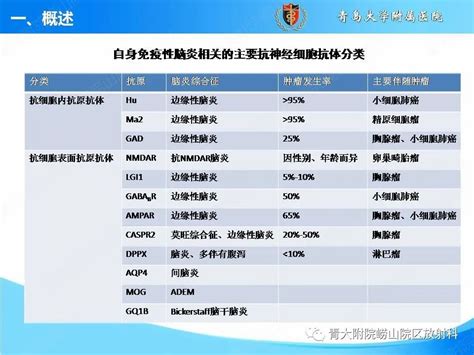 PPT自身免疫性脑炎的影像诊断与鉴别 影像PPT