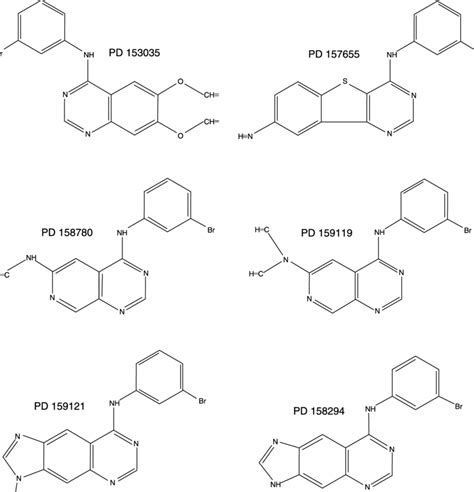 Chemical Structures Of The Egfr Tyrosine Kinase Inhibitors Tested