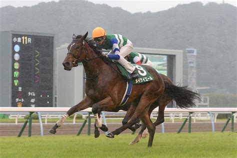 スプリンターズステークス2022｜最終予想｜10月2日日中山11r｜印5点勝負！新王者はこの5頭の中にいる！？本命は好条件が揃ったアノ馬