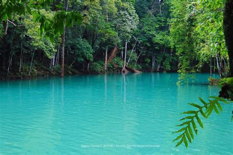 Mabinay Spring A Refreshing Natural Wonder