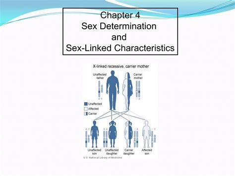 Genetics Lecture Pw Ppt
