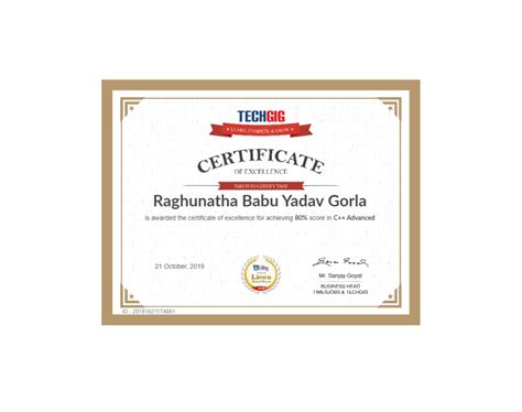 Skill Tests Programming Skill Tests Online Coding Test Online Assessments