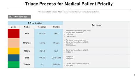 Triage Procedure Success Criteria Ppt Powerpoint Presentation Complete Deck
