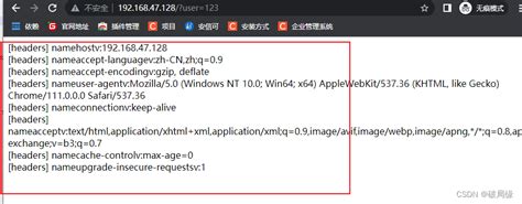 openresty实战项目 openresty 获取 body csdn博客