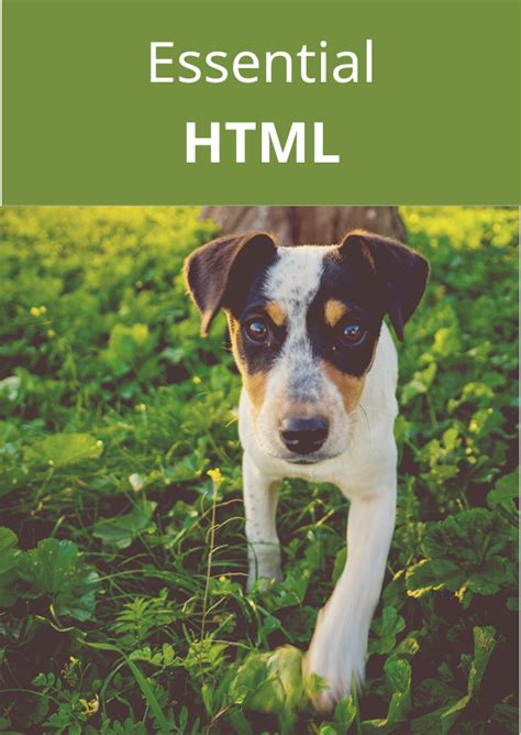 Essential HTML A Free HTML Programming Book