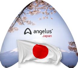 Quiénes Somos Angelus Odontologia Soluções Odontológicas Inovadoras