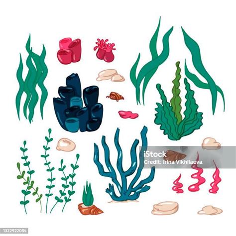 수중 세계의 디자인 요소의 벡터 귀여운 세트 만화 스타일의 벡터 일러스트레이션 스티커 데칼로 사용할 수 있습니다 돌 산호 조류 개체 그룹에 대한 스톡 벡터 아트 및 기타