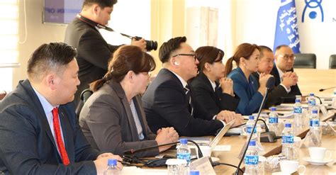 “Хүний эрхийг хангах үндэсний хөтөлбөр Ii” ын төслийн талаар санал солилцжээ · Dorgio Mn