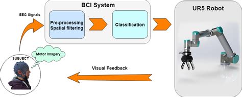 Github Batyaggbci Controlled Ur Manipulator Python Implementation Of Motor Imagery Real Time