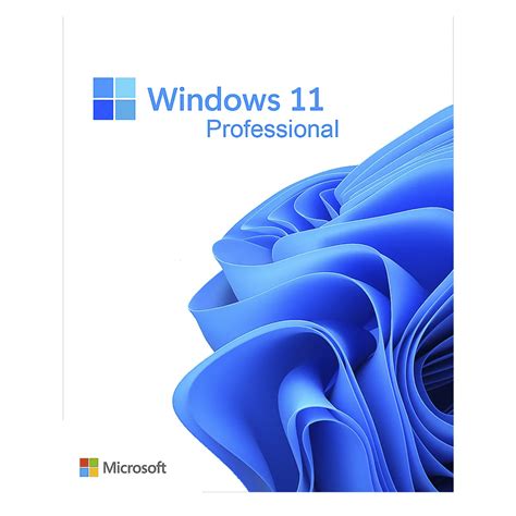 Windows 11 Pro Licencia 1 Licencia Oem Dvd 64 Bit Español Software Sistema
