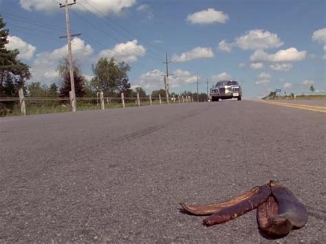 Odoyle Rules Odoyle Rules Odoyle Rules Billy Madison Quote