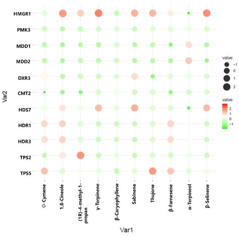 Full Length Transcriptomic Sequencing And Temporal Transcriptome