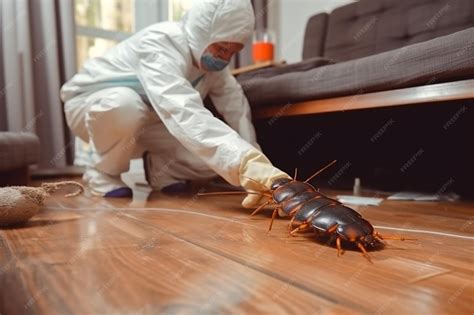 Premium Ai Image Insect Sofa Exterminator Pest Cockroach Kill Control