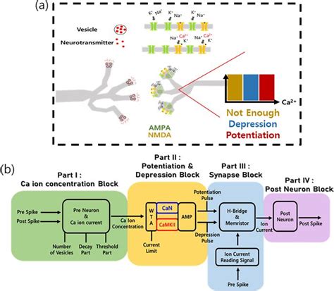 Eric Feuilleaubois Phd On Linkedin Hybrid Cmos Memristor Synapse Circuits For Implementing