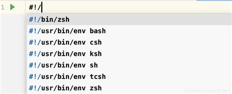 Binbash 和 Usrbinenv Bash 的区别 Csdn博客