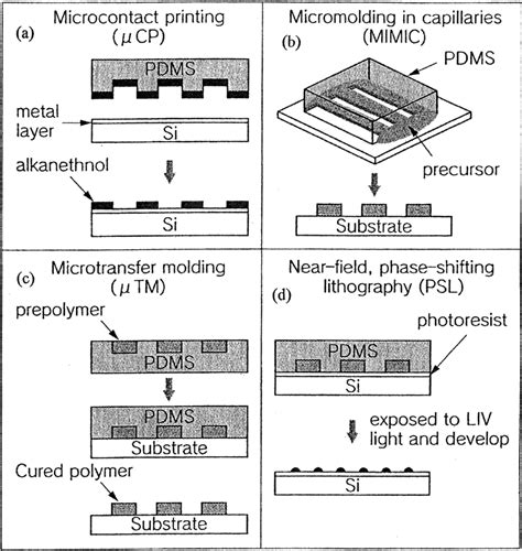 Soft Lithography Processes A Microcontact Printing B Micromolding Download Scientific